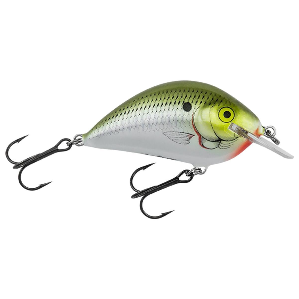 Bagleys lures store